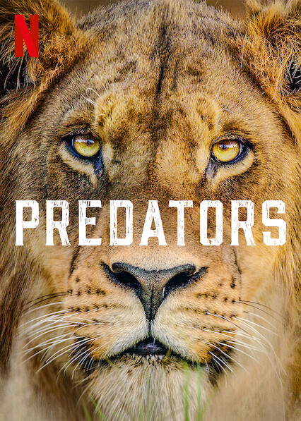 Is 'Predators' on Netflix? Where to Watch the Documentary - New On ...